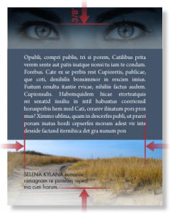 Book Cover Template | Free MS Word Cover Templates